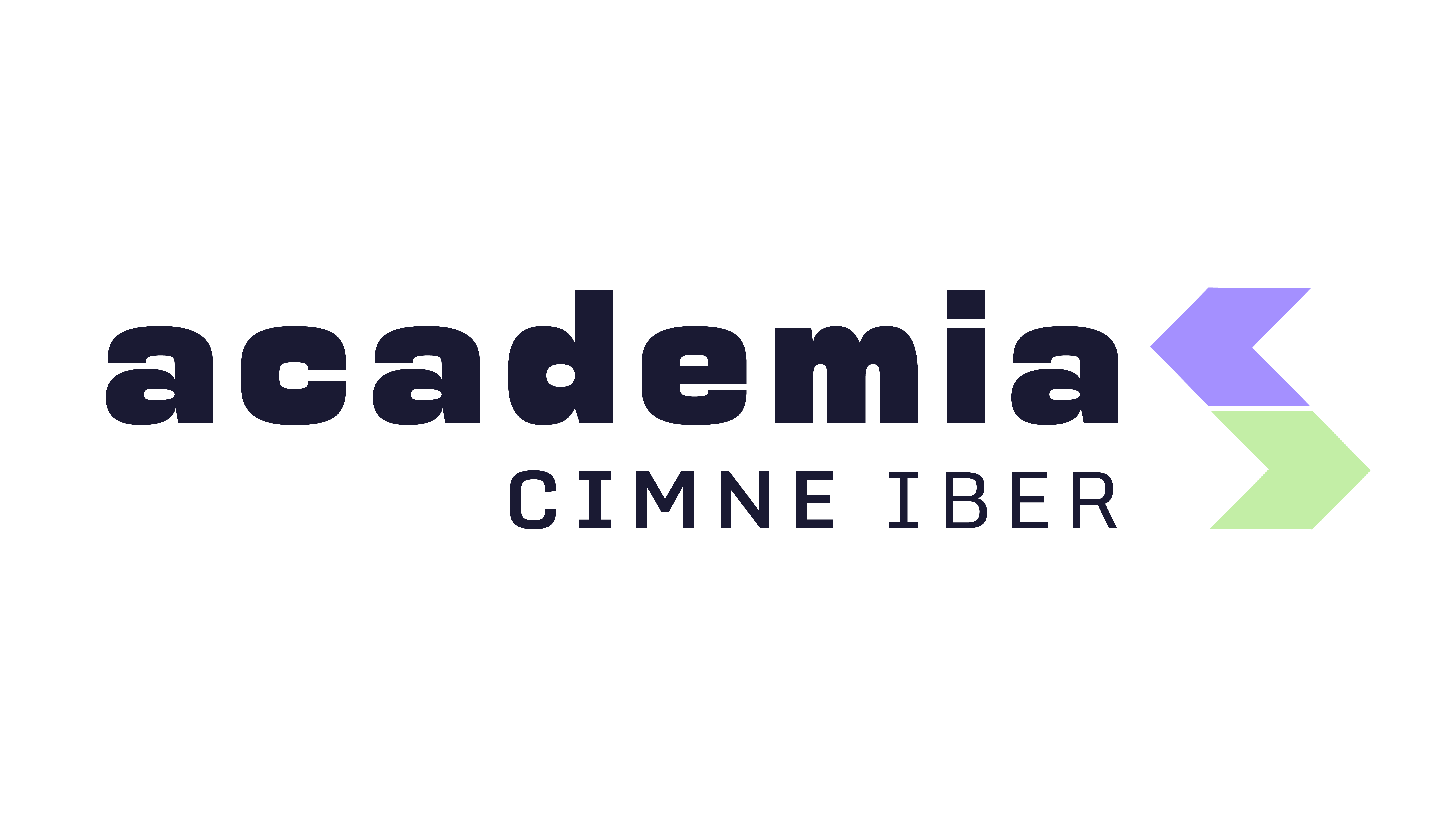 Academia CIMNE-IBER